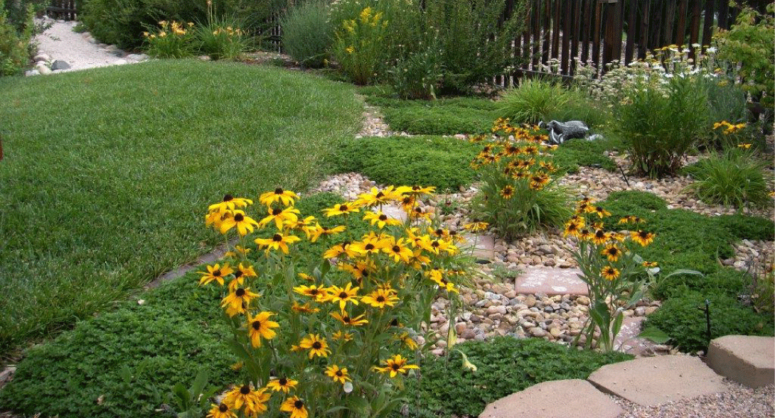 Landscape Design Home | Stephanie Selig Landscape Design