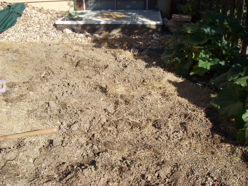 How-to: Move a Sprinkler Head | Sundrops and Starflowers