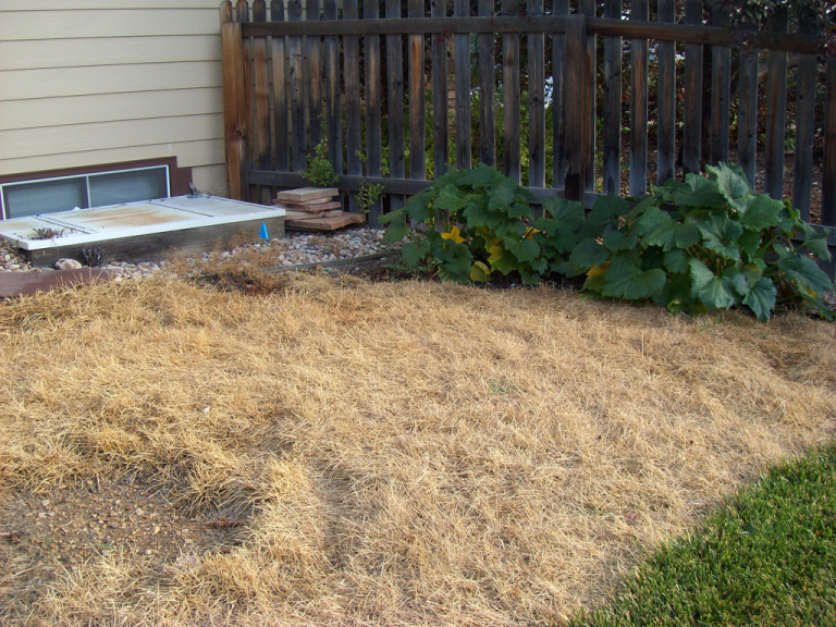 How-to: Move a Sprinkler Head | Sundrops and Starflowers