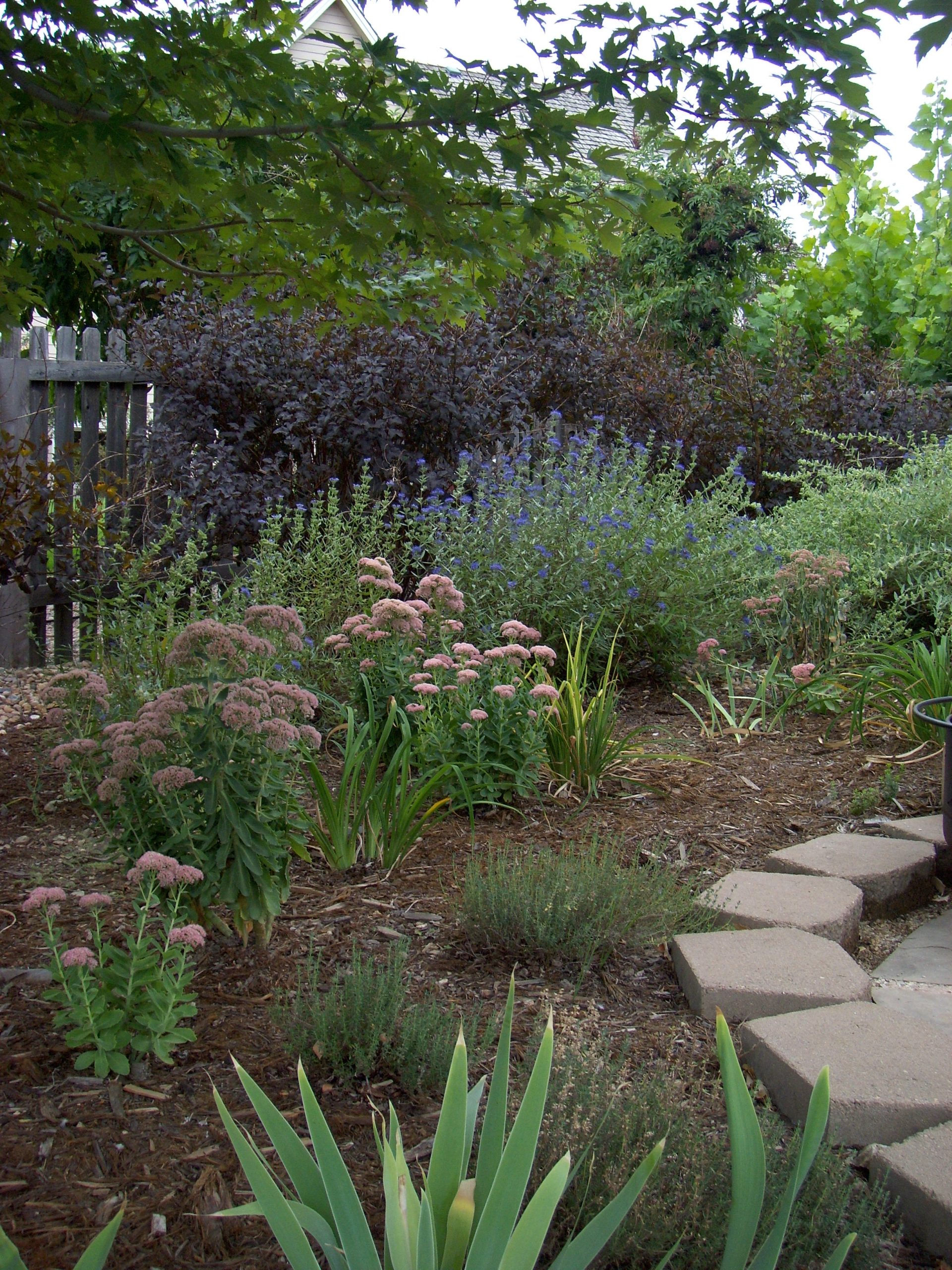 Landscape Design Home | Stephanie Selig Landscape Design