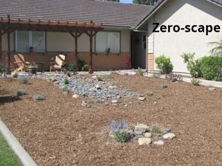 Xeriscape is not Zero-scape | Sundrops and Starflowers