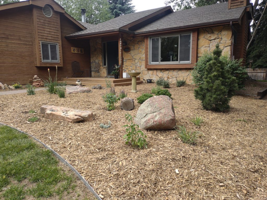 Tonoli Front Yard | Sundrops and Starflowers